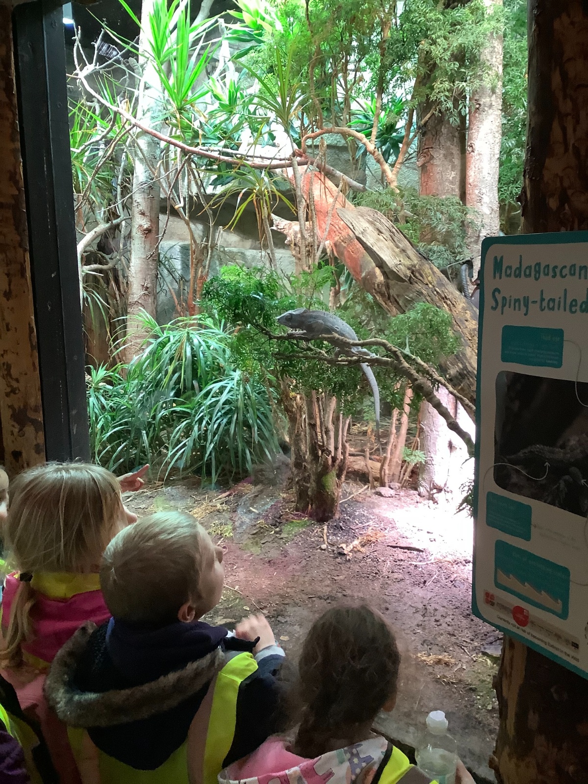 Stamford Park Primary School - Chester Zoo!